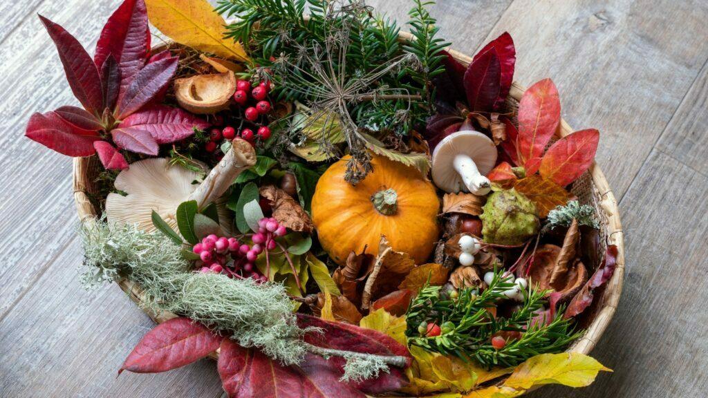 UK FORAGING TIPS FOR AUTUMN