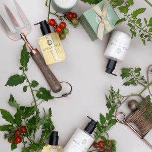 The Greenhouse Collection Sampler